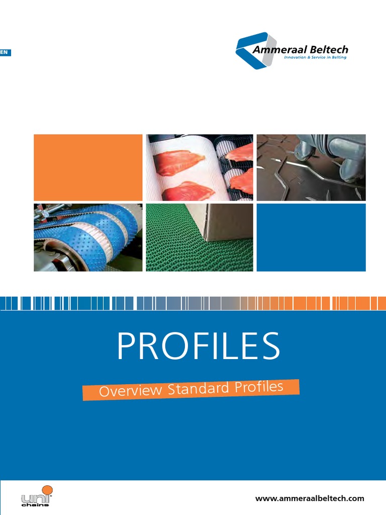 A-B Profiles 2013 | PDF