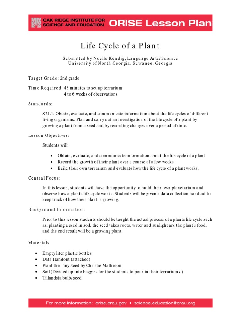 Plant Life Cycle | PDF | Plants | Information