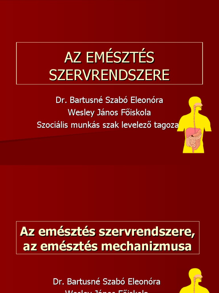 Az Emésztés Szervrendszere | PDF