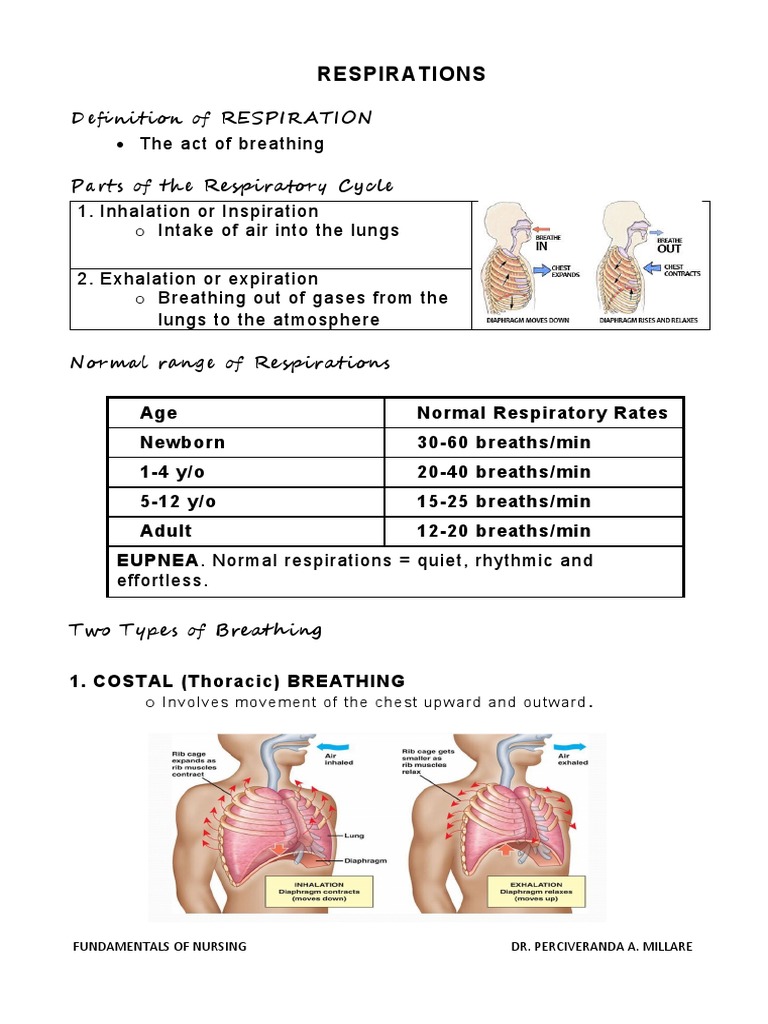 Unit 5.2 Respirations | PDF | Breathing | Exhalation