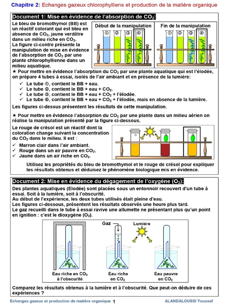 1ere SC Unit2 2 | PDF