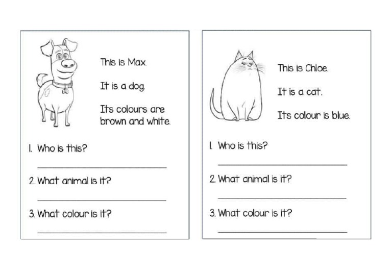 Secret Life of Pets WORKSHEET | PDF