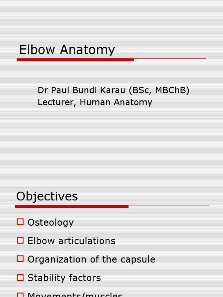 Elbow Anatomy: DR Paul Bundi Karau (BSC, MBCHB) Lecturer, Human Anatomy ...