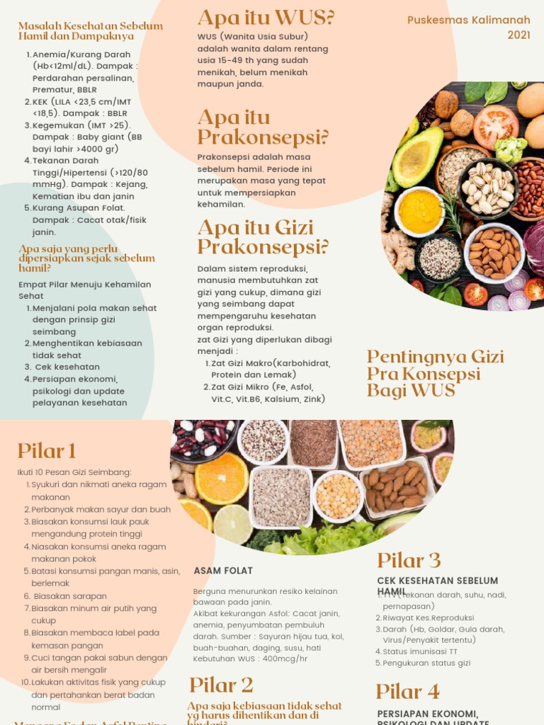 Leaflet Prakonsepsi | PDF