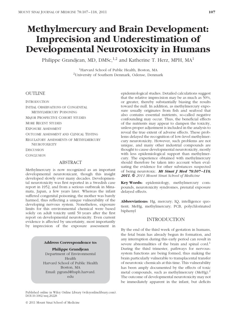 Methylmercury and Brain Development | PDF | Confounding | Mercury (Element)