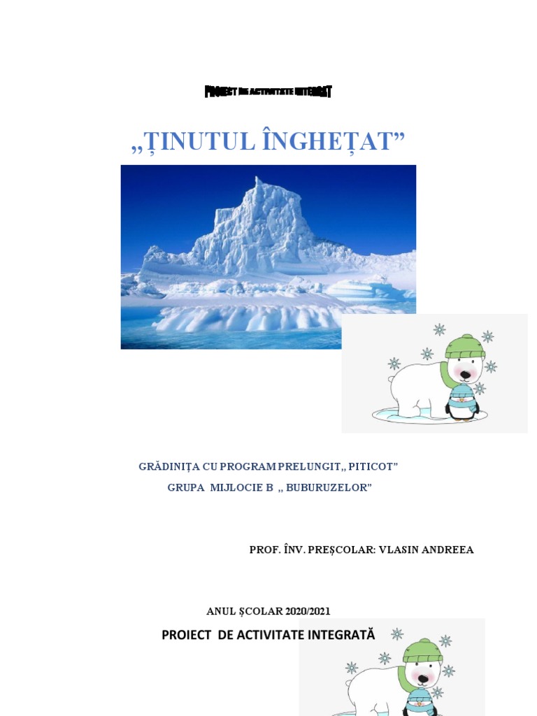 Vlasin Andreea Proiect II | PDF