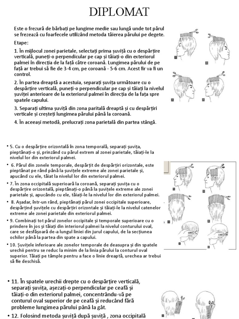 DIPLOMAT - PPTX Corectat | PDF