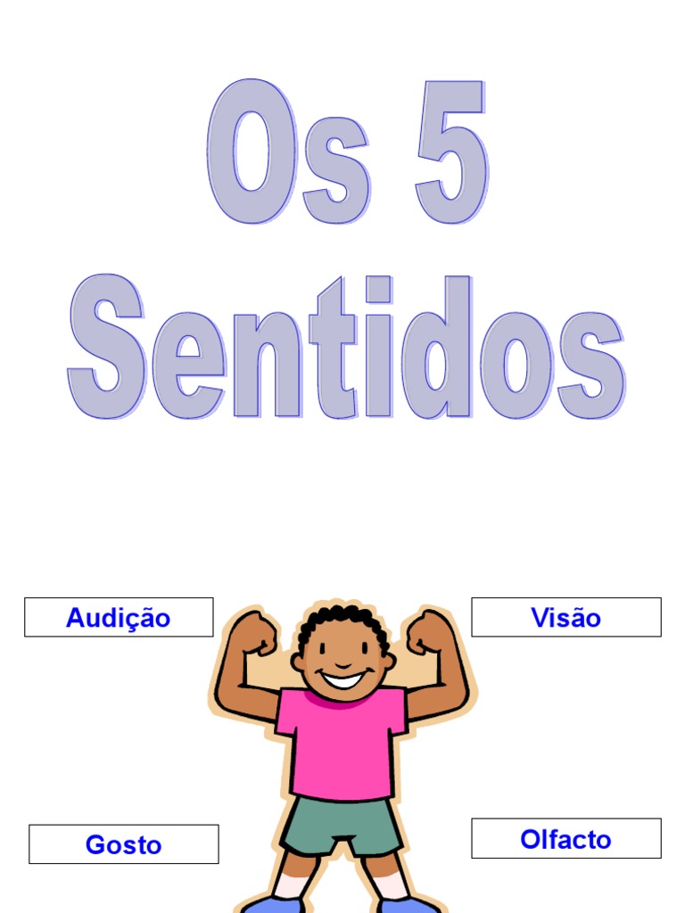 Os cinco sentidos e suas funções | PDF