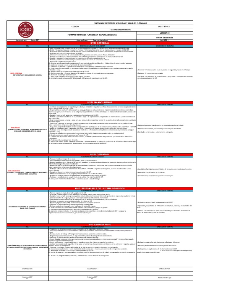 Formato Matriz de Funciones y Responsabilidades | PDF | Responsabilidad