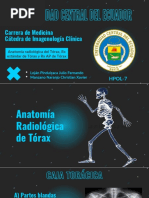 Cómo leer una radiografía de tórax | PDF | Tórax | Tórax (anatomía humana)