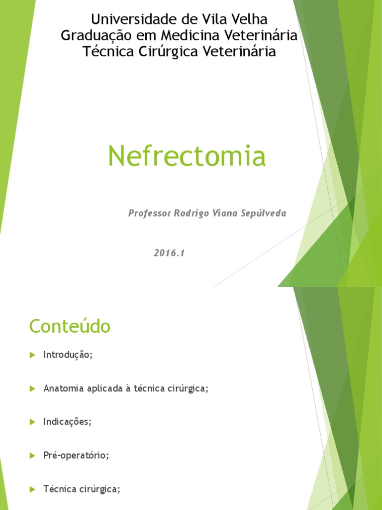 Nefrectomia: Técnica Cirúrgica para Remoção de Rins | PDF | Rim ...