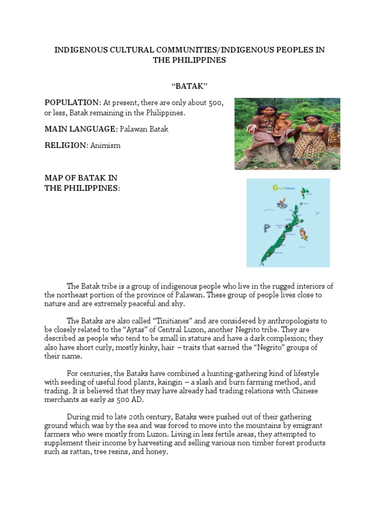 Indigenous Cultural Communities | PDF | Ethnicity | Ethnic Groups