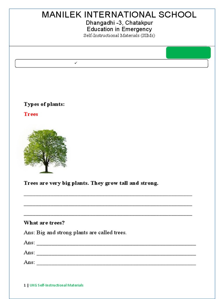 UKG Third Phase Homework For Printing | PDF | Shrub | Room