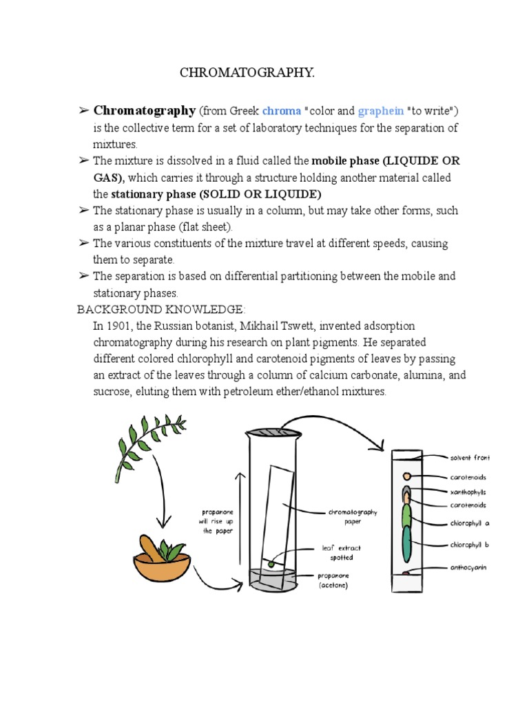 An In-Depth Look at Chromatography: Principles, Types, Applications and ...