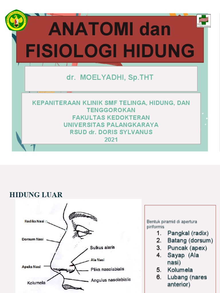 Anatomi dan Fisiologi Hidung Manusia | PDF