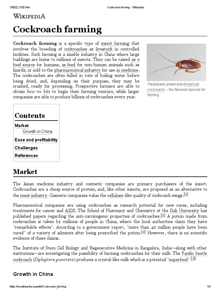 Cockroach Farming: Cockroach Farming Is A Specific Type of Insect ...