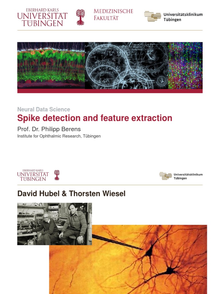 Neural Spike Sorting Techniques | PDF | Principal Component Analysis | Applied Mathematics