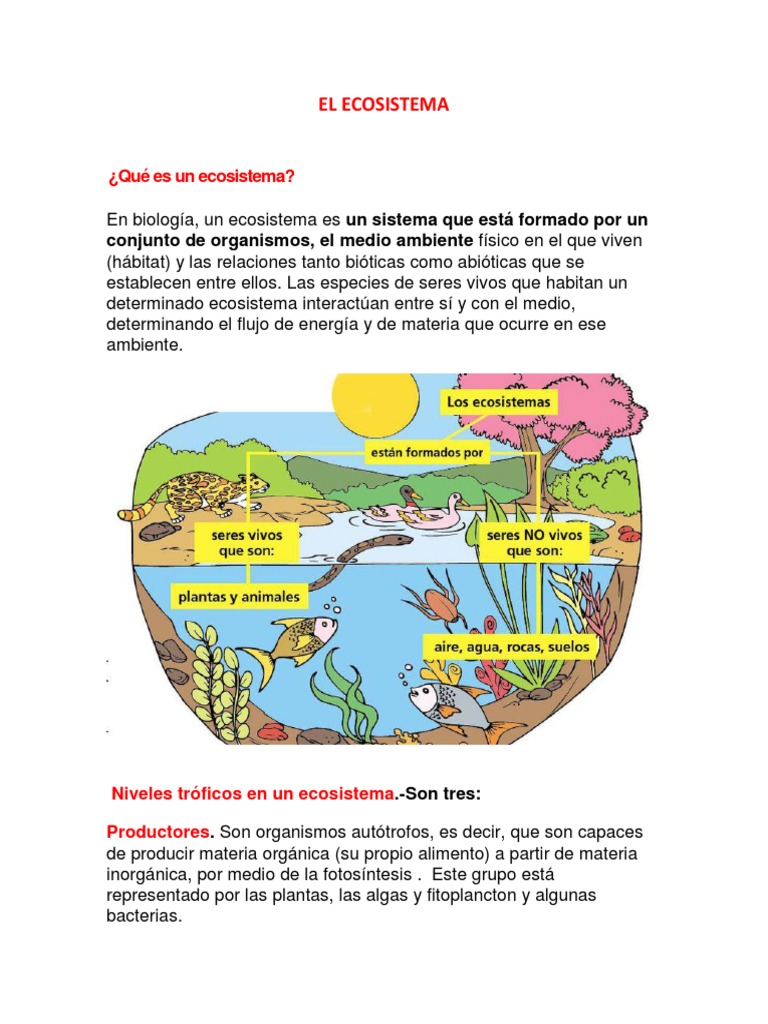 El Ecosistema | PDF | Ecosistema | Organismos