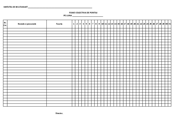 Foaie de Pontaj | PDF