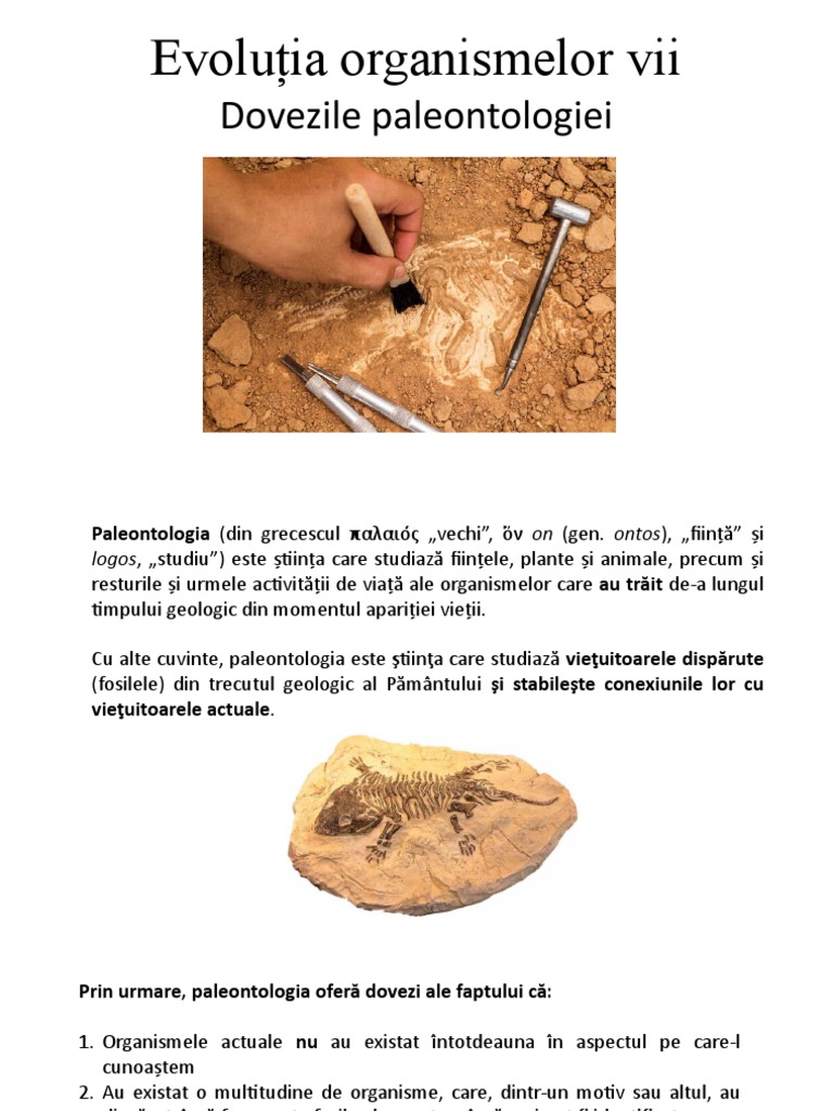 Argumentele Paleontologiei Ale Evoluției | PDF