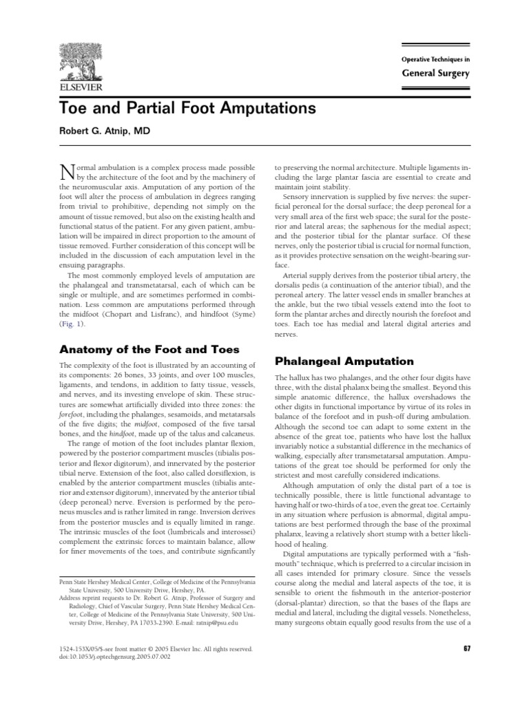 Toe and Partial Foot Amputations | PDF | Toe | Foot