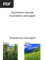 Lanțuri Și Rețele Trofice | PDF