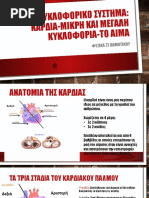 TO ΟΥΡΟΠΟΙΗΤΙΚΟ ΣΥΣΤΗΜΑ-ΑΝΑΤΟΜΙΑ | PDF