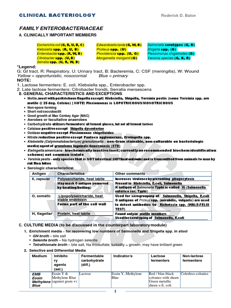 Enterobacteriaceae Handout (Lec & Lab) | PDF | Salmonella | Escherichia ...