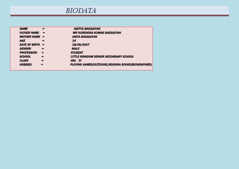 Biodata | PDF