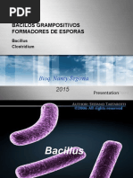 Bacillus anthracis: Características y Control | PDF | Ántrax | Bacilo