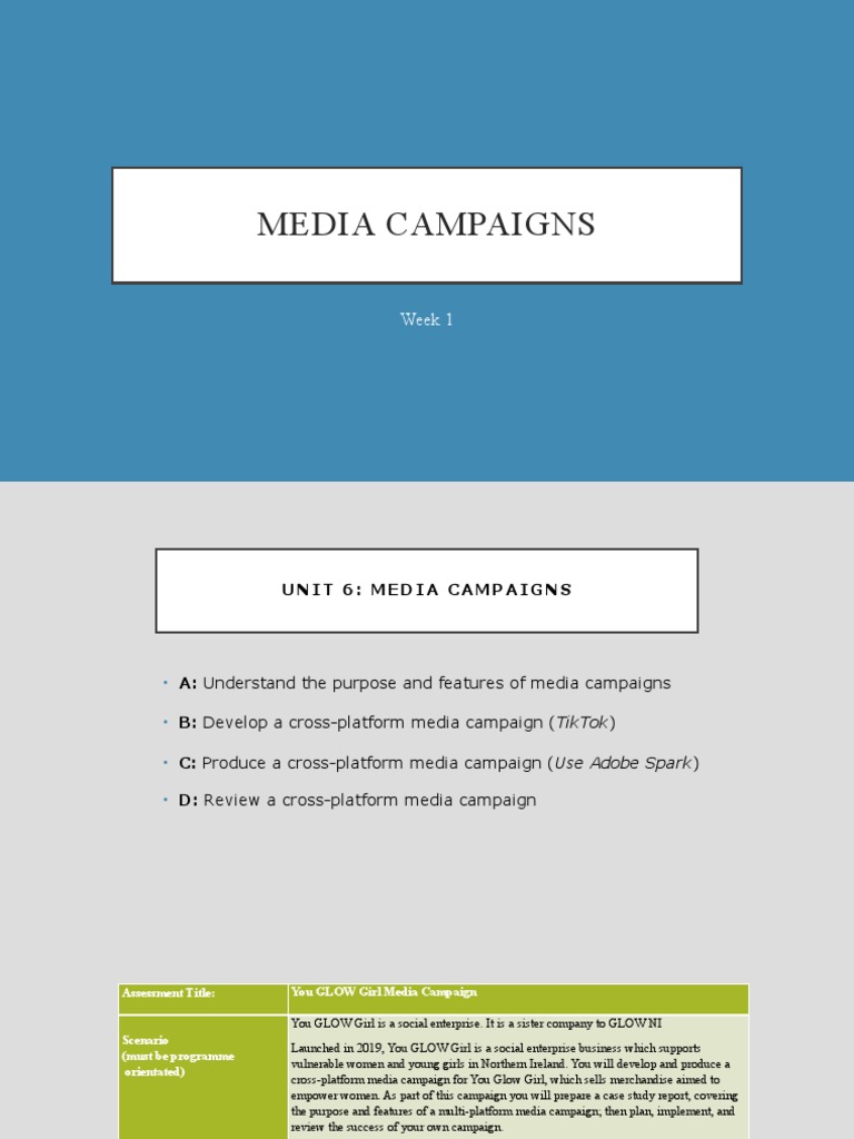 Cross-Platform Media Campaign Guide | PDF | Target Audience | Digital ...