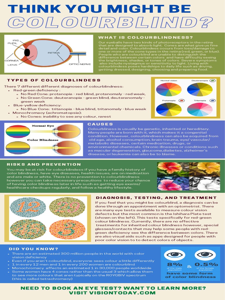Colourblindness Infographic | PDF | Human Diseases And Disorders | Medicine