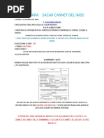 Descargar Carátula del IMSS: Guía Rápida | PDF | Informática ...