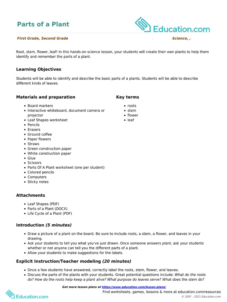 Parts of A Plant: Learning Objectives | PDF | Plants | Flowers