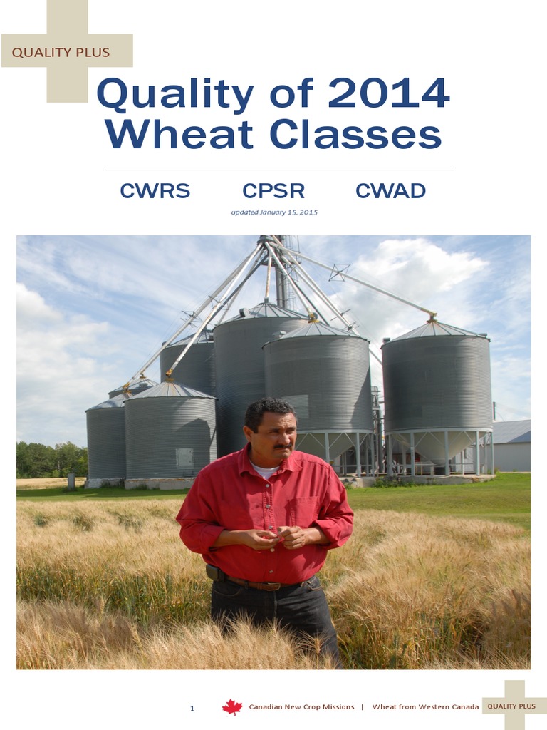 Quality of 2014 Wheat Classes: Cwrs CPSR Cwad | PDF | Breads | Flour