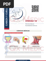 Arco de Riolano | PDF | Tinción | Anatomía