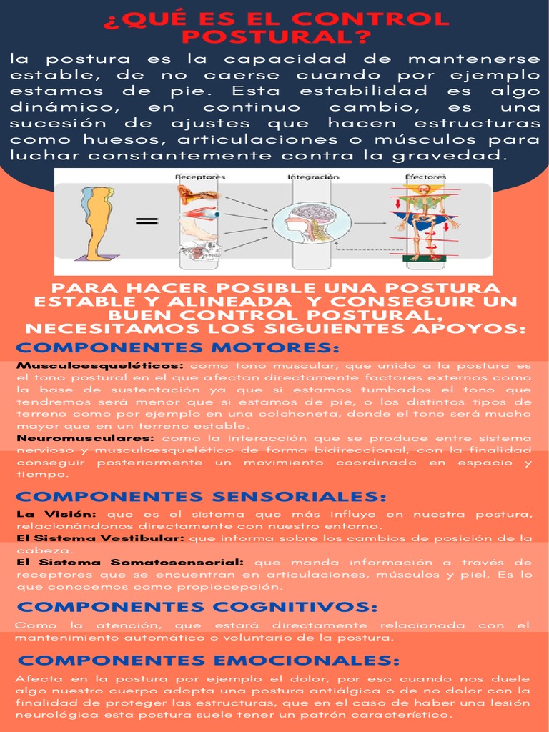 ¿Qué Es El Control Postural | PDF | Ciencia cognitiva | Cognición