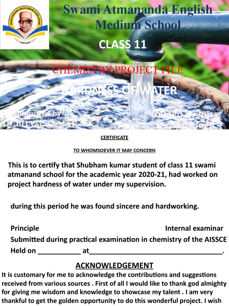 Class 11: Chemistry Project File | PDF | Calcium | Magnesium