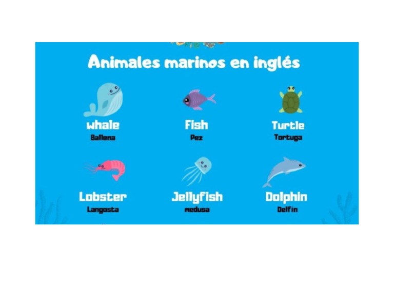 Animales Marinos en Inglés | PDF
