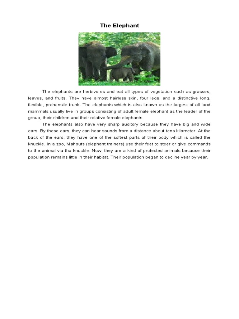 Descriptive Text (Gajah) | PDF