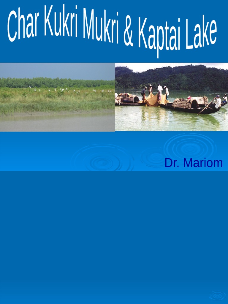 Class 7c Kaptai Lake, Char Kukrimukri - M | Download Free PDF | Lake ...