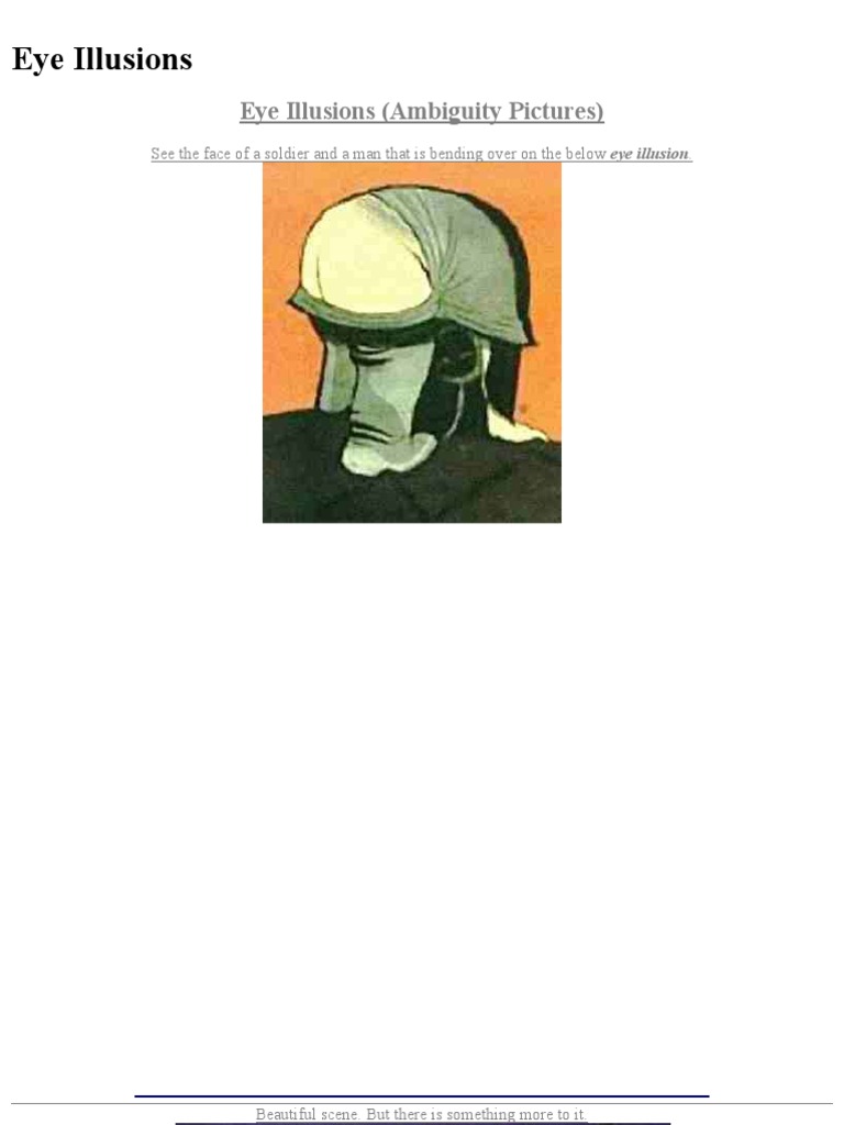 Eye Illusions (Ambiguity Pictures) | PDF | Experimental Psychology | Senses