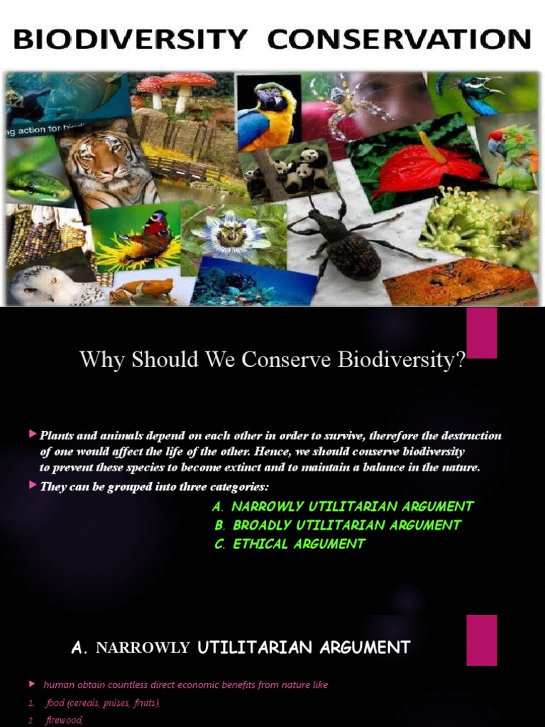 Importance of Biodiversity Conservation | PDF | Conservation Biology ...