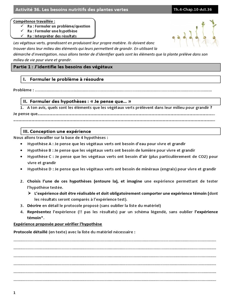 Les besoins essentiels des plantes | PDF | Hydroponie | Plantes