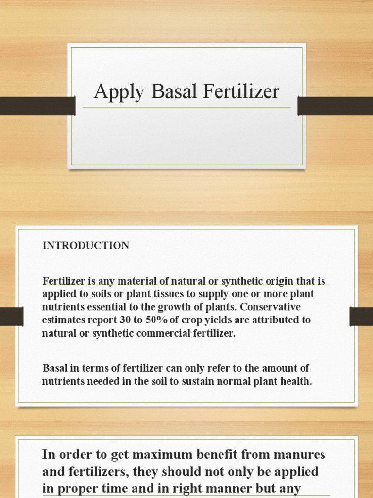 Apply Basal Fertilizer | PDF | Fertilizer | Soil