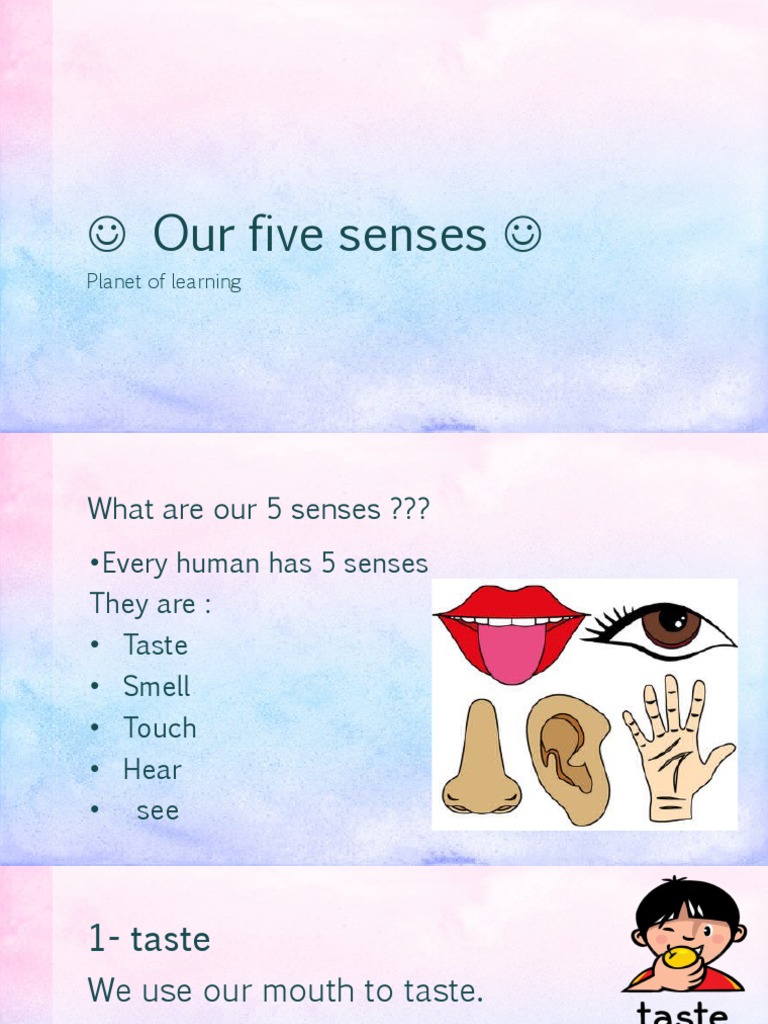 Our Five Senses : Planet of Learning | PDF