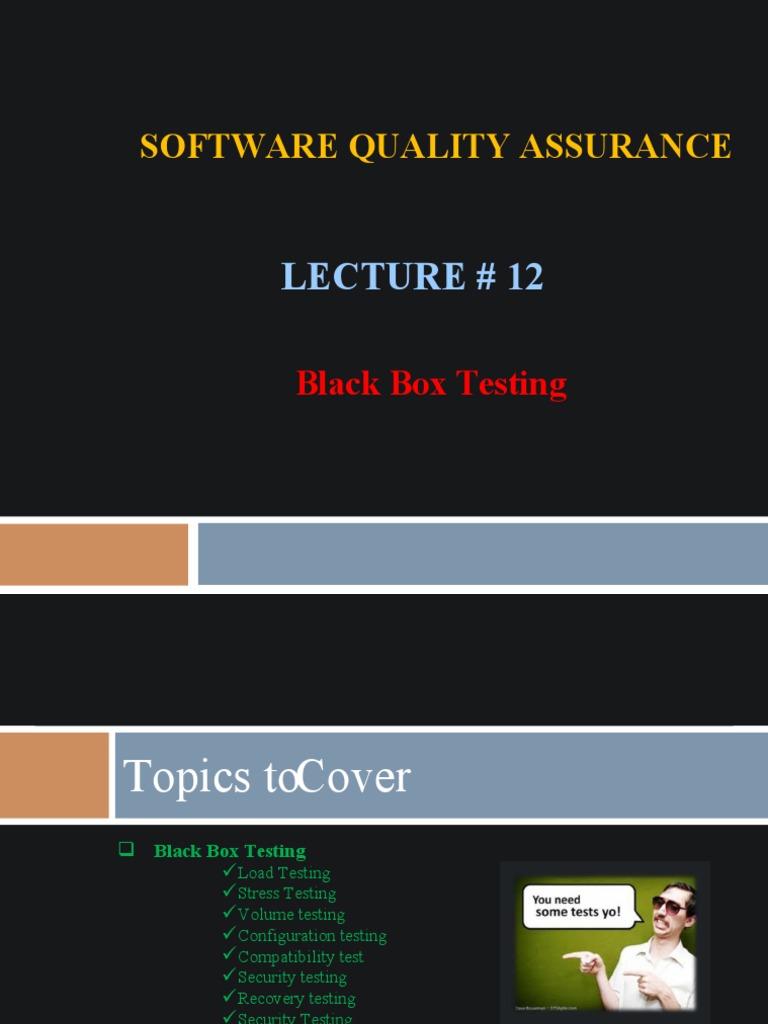 SQA Lec 12 | PDF | Software Testing | White Hat (Computer Security)