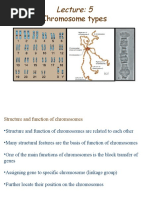 1.WS1.Structure - Of.chromosome Answer Key | PDF | Chromosome | Chromatin
