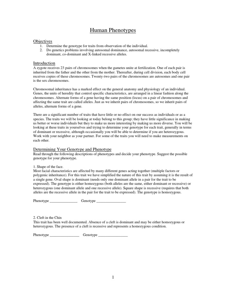 Exploring Human Phenotypes and Genotypes | PDF | Dominance (Genetics ...