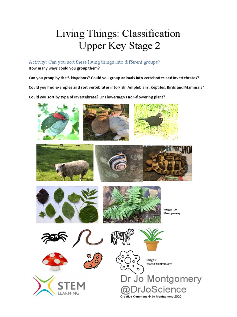 Worksheet Classification 5 Kingdoms Ks2 | PDF